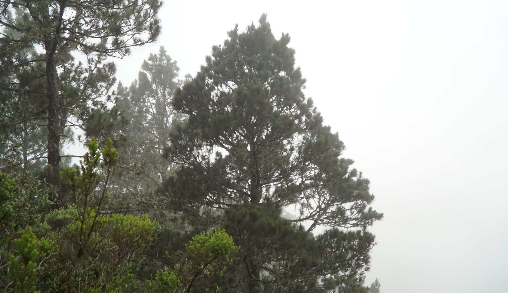 bikemapuser4646372819077421 - Cyclist Profile - 🚲 Bikemap